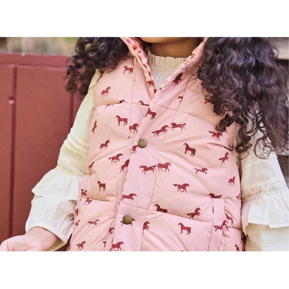 Pink Chicken | Jackets & Coats | New Pink Chicken Reversible River Vest ...